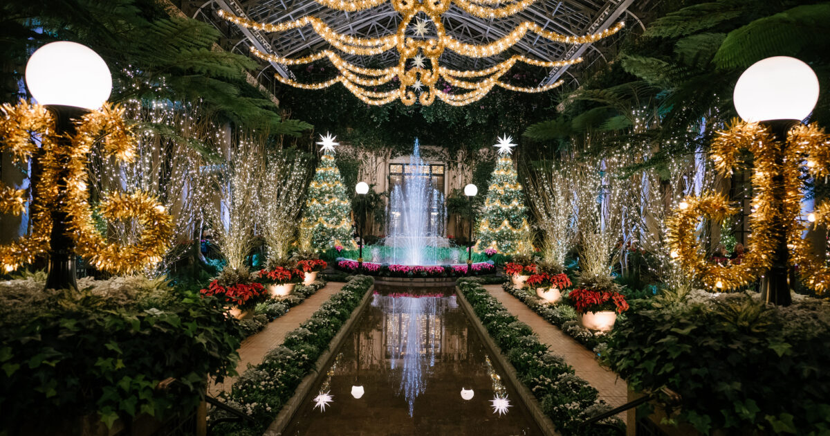 Christmas in Bethlehem | Country Travel DISCOVERIES